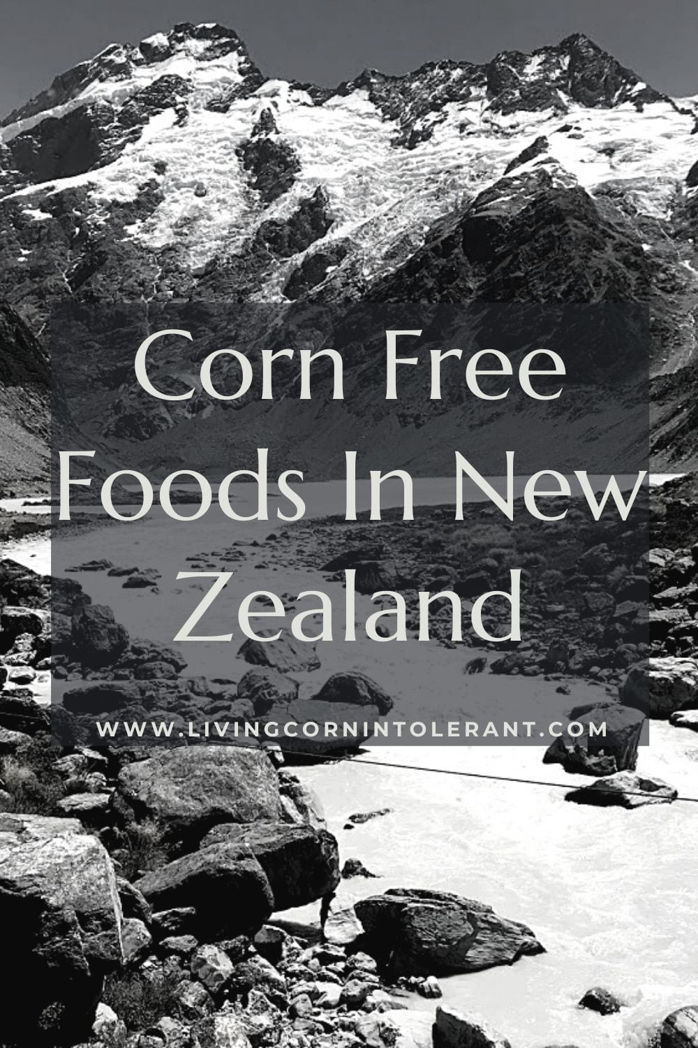 Corn Free Foods in New Zealand - A Food Mood